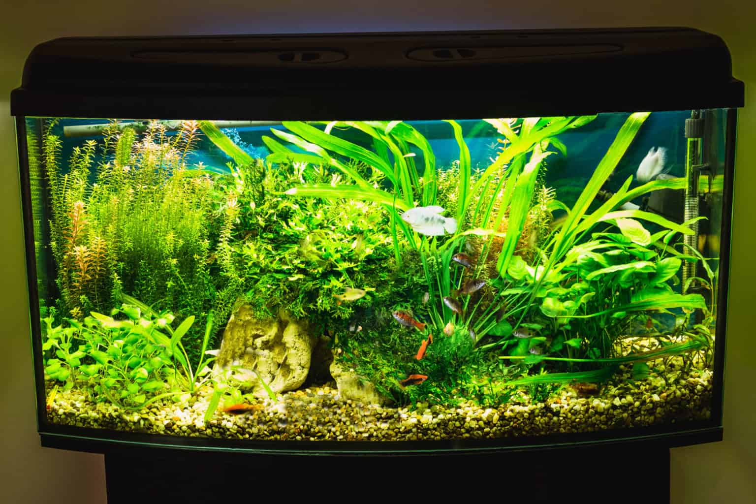 Stromverbrauch Aquarium Rechner